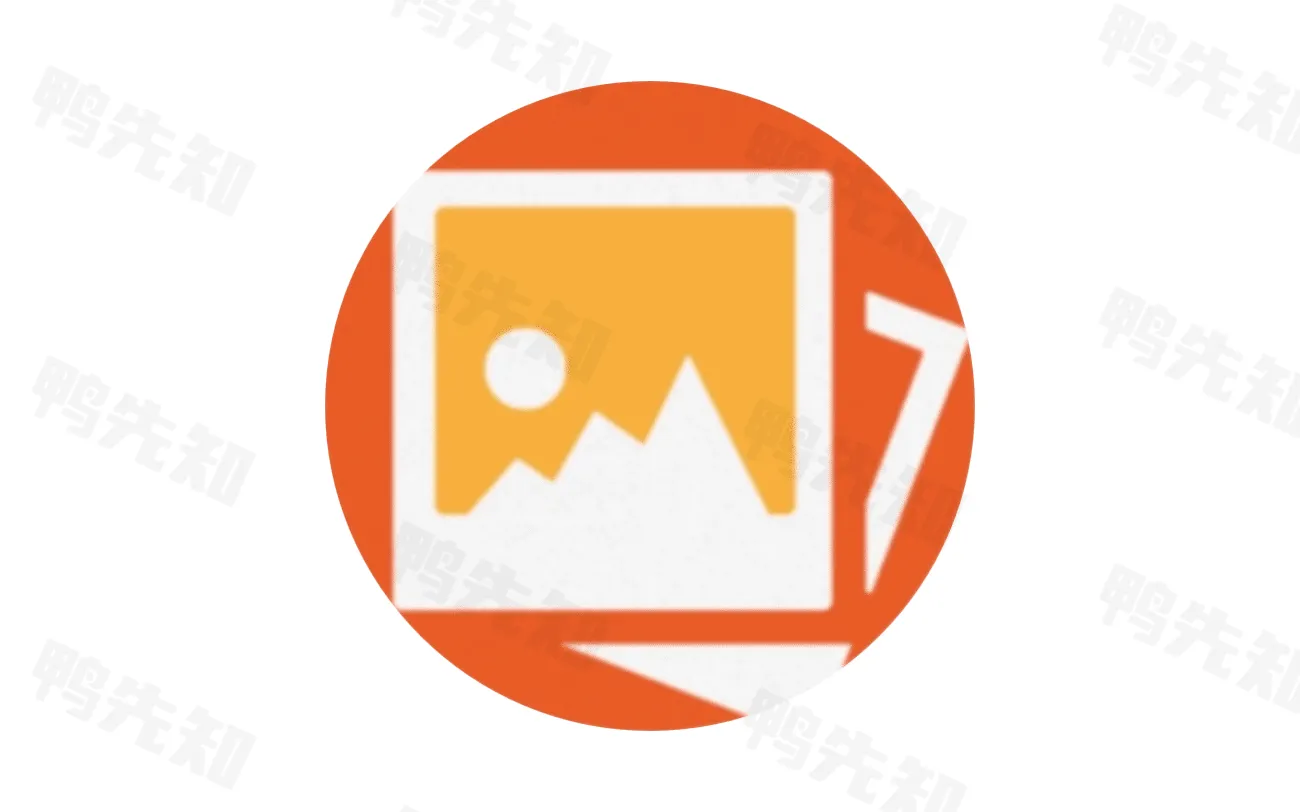 PicView v2.2.5 开源免费图像浏览器，中文多语绿色版 - 鸭先知